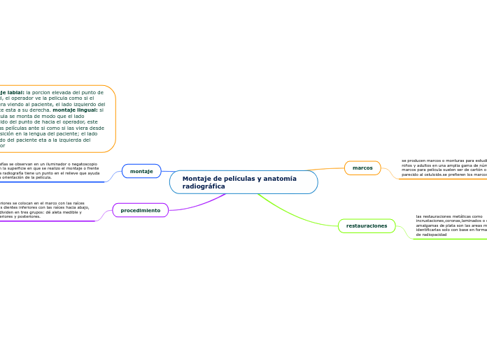 Montaje de películas y anatomía radiográfi...- Mind Map
